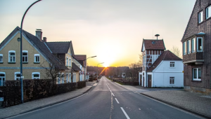 Сat Spring - Discover Life